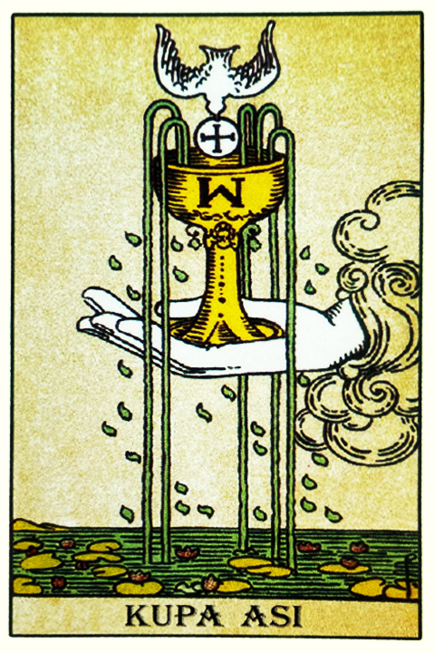 7. KART: KUPA ASI - ELLE